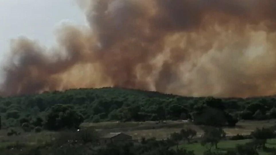 Large fire underway in Zakynthos (video) - ProtoThema English