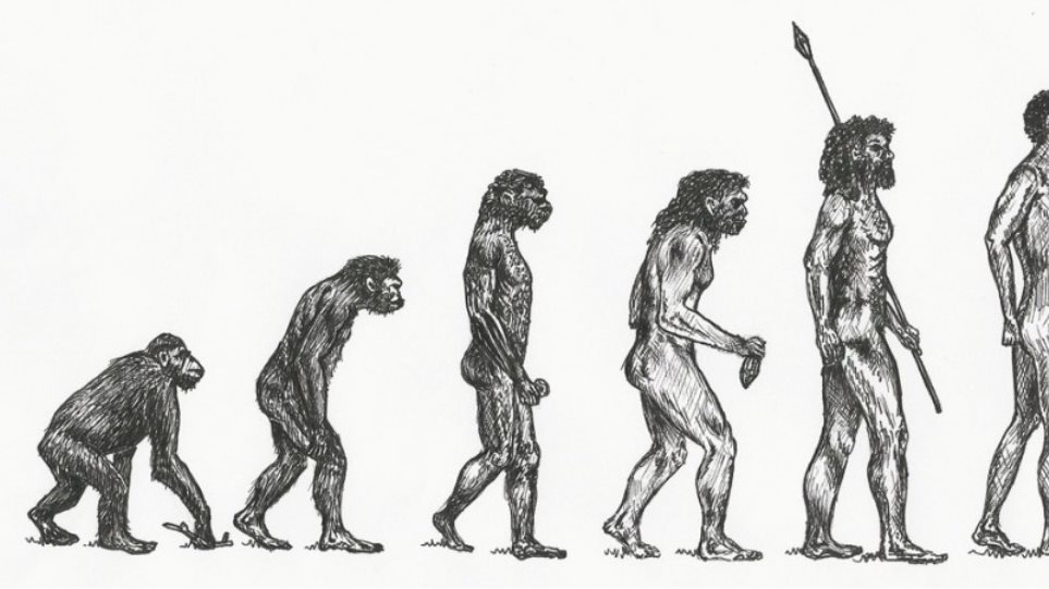 Fossil footprints: The fascinating story behind the longest known ...