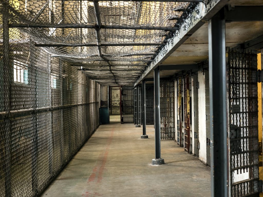 U.S. Private Prison Populations (infographic) - ProtoThema English
