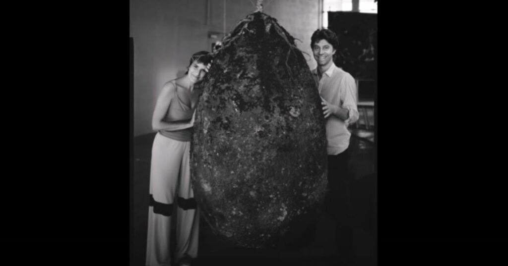 Say goodbye to coffins - Organic burial pods will turn your body into a ...