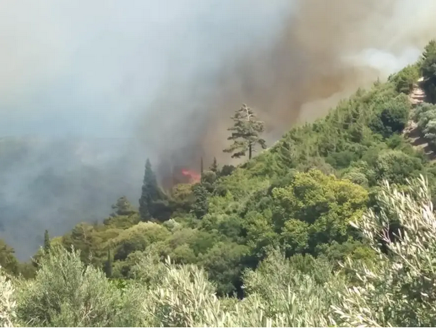 Samos: The fire in Vourliotes is out of control - Kokkari & hotels were ...