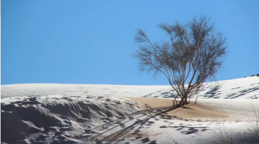 Incredible! Snowfall in the Sahara Desert and Saudi Arabia (videos ...