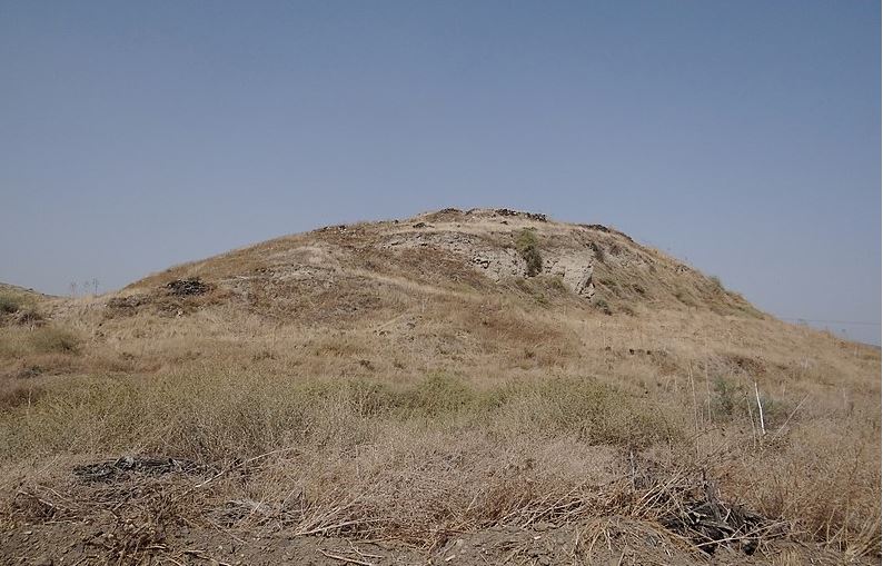 Hominin Bone in Israel Dated to 1.5 Million Years Ago - ProtoThema English