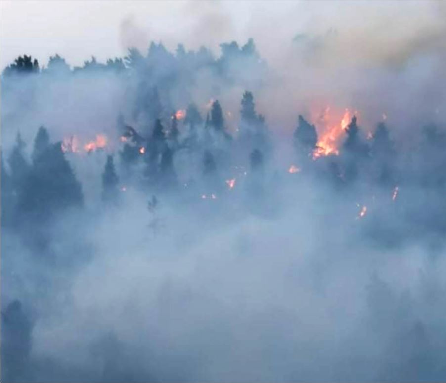 Large forest fire raging out of control in Halkidiki (photos ...