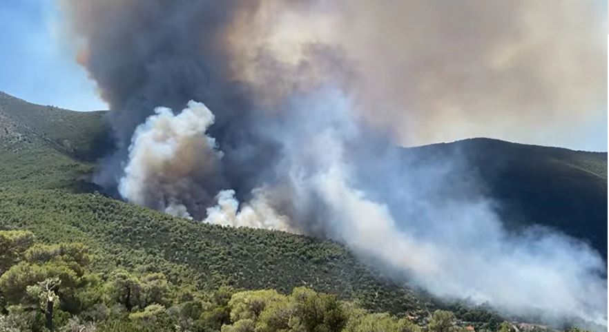 Forest fire at Porto Germenos (videos) - ProtoThema English