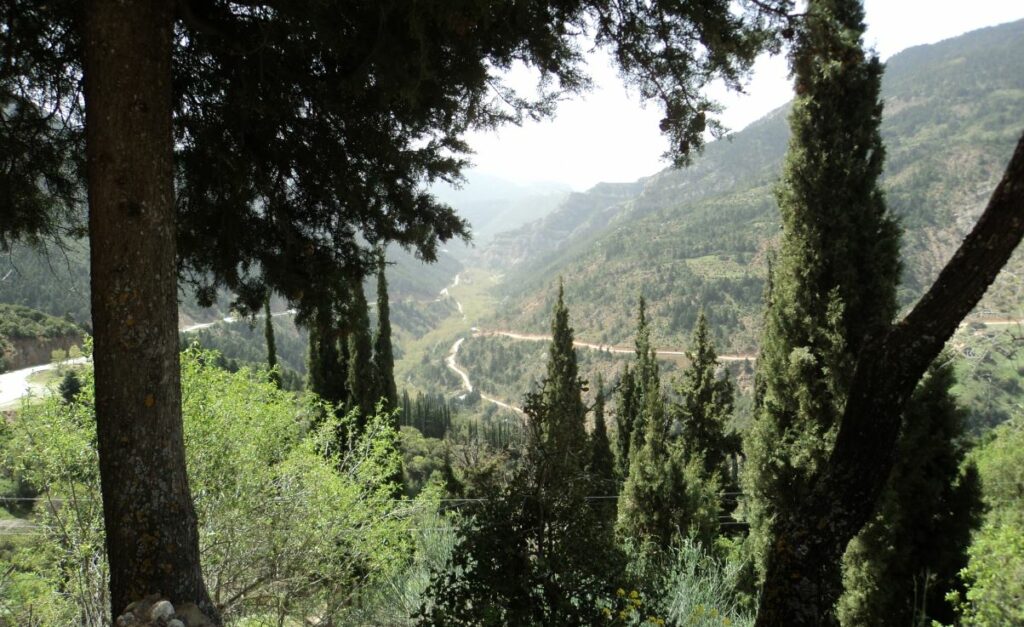 Incredible fir-tree covered Greek village is the ideal spot for autumn ...
