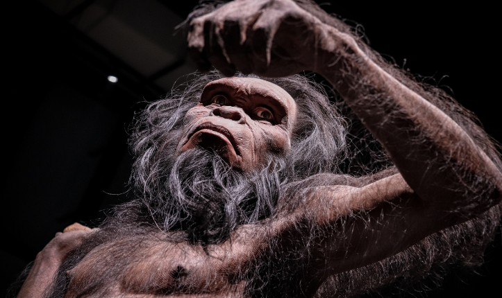 8 billion people: How different the world would look if Neanderthals ...