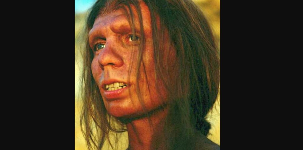 Were Europe’s Early Humans Connected to Each Other? - ProtoThema English