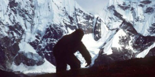 Researcher thinks he solved Bigfoot mystery & you can do the math too ...