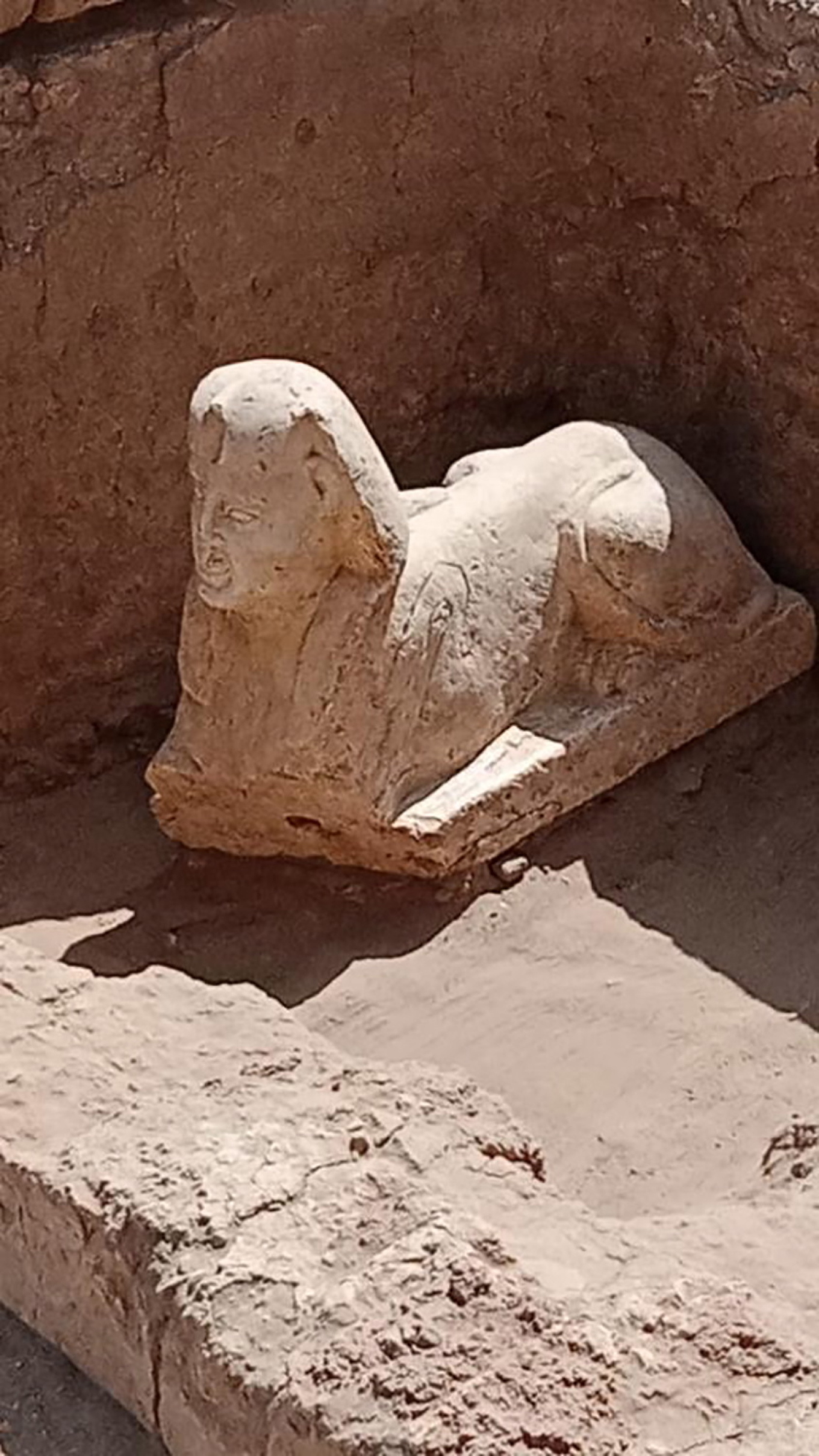 Sphinx With a Smiling Face Uncovered in Upper Egypt (photos ...
