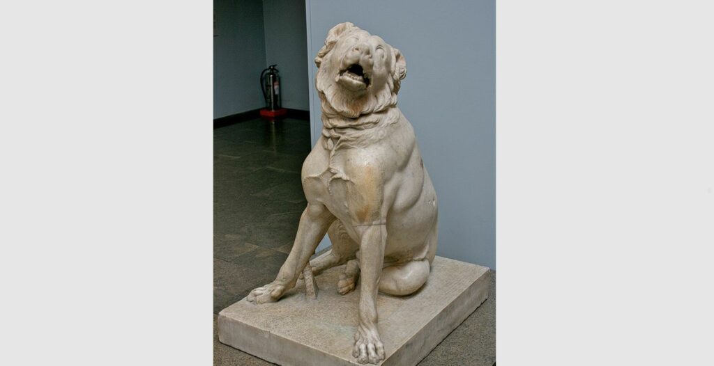 Did the Romans Breed Flat-Faced Dogs? - ProtoThema English