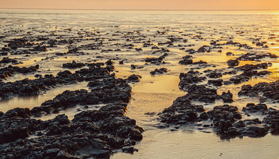 Illinois man gets stuck waist-deep in Alaska mud flats, drowns as tide ...