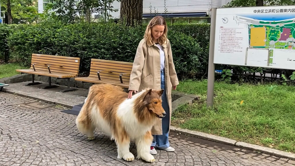 OK...Man who spent $14 to transform himself into collie steps out for ...