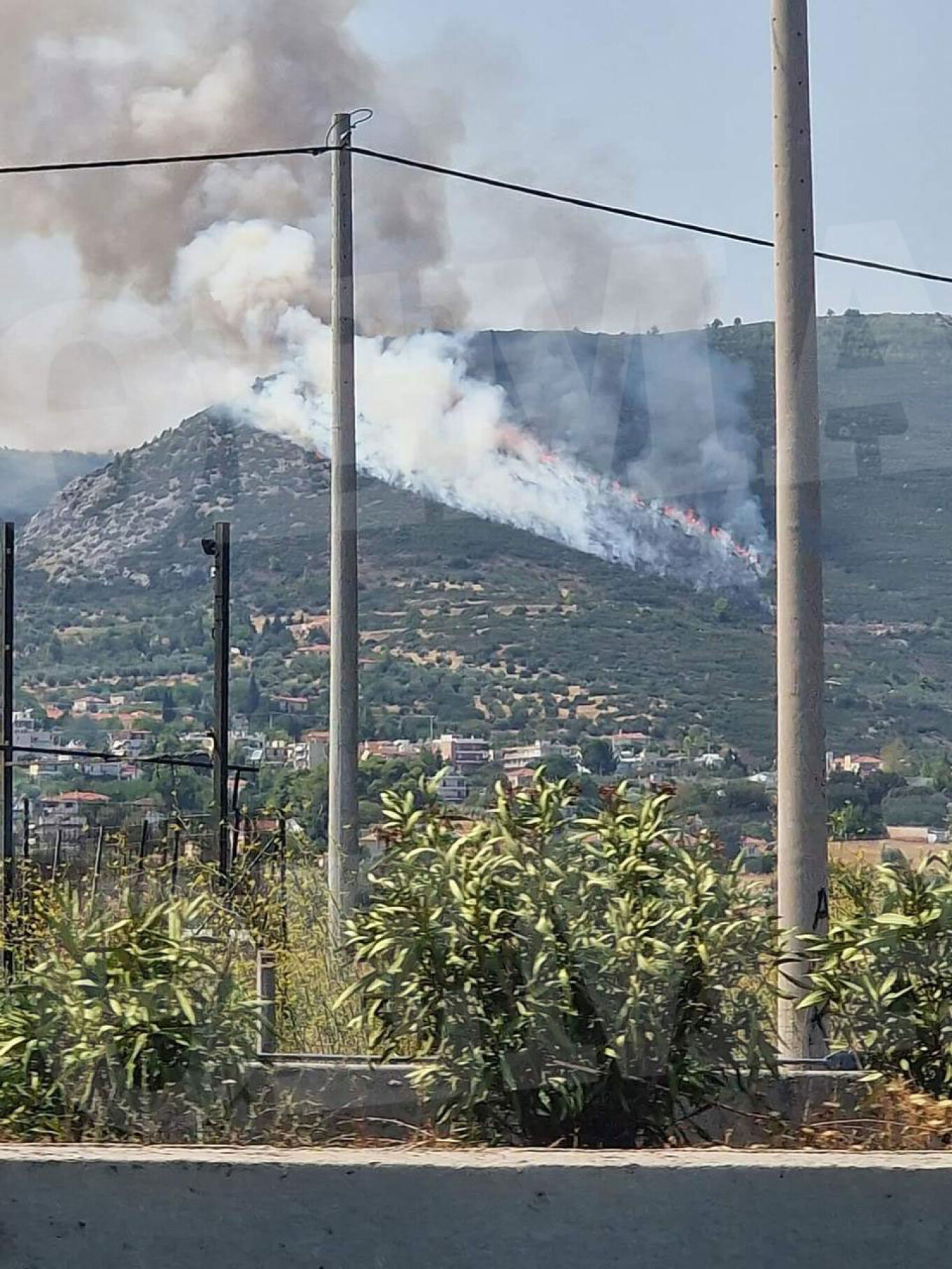 Revealing photos from the fire in Avlonas - Two arrests for arson ...