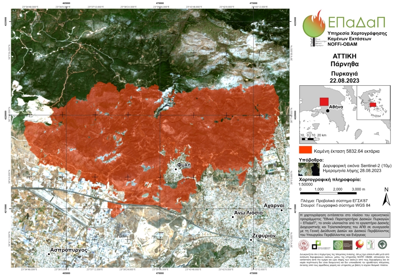 Devastating - Over 800,000 hectares burned in the massive fire in Evros ...