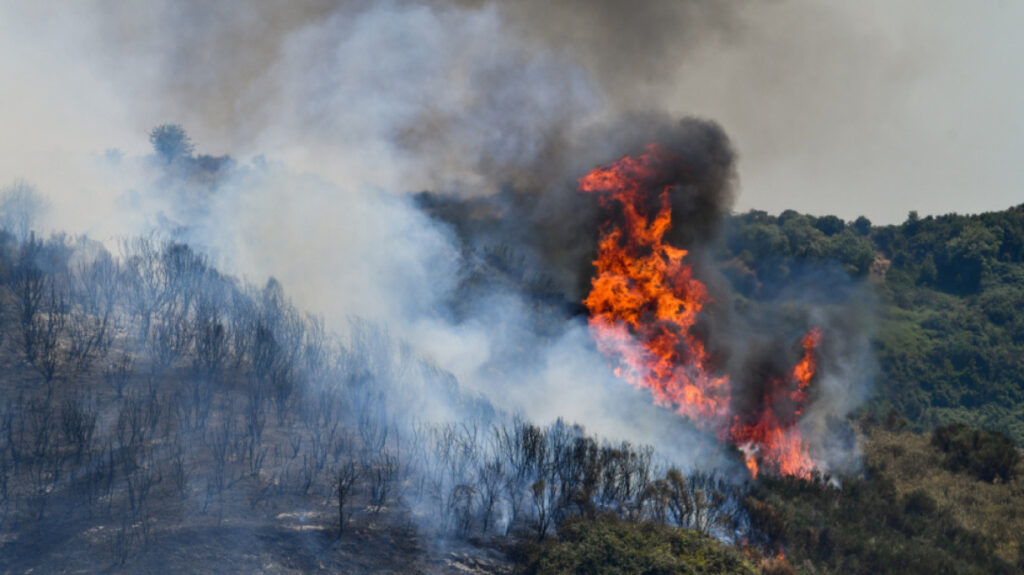 Devastating effects of Greek forest fires - About 136,000 acres have ...