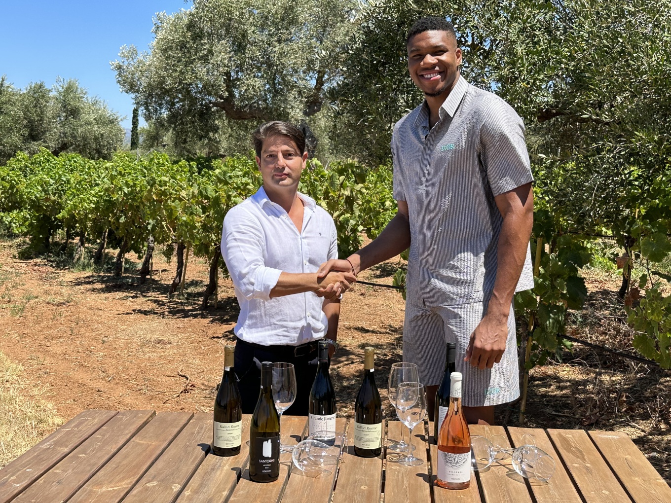 Giannis Antetokounmpo buys 10% stake in Hellenic Wineries (photo ...