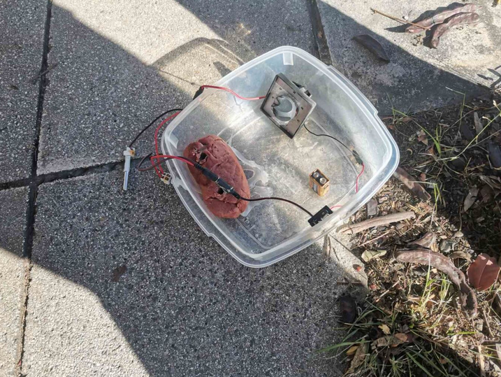 Athens: Bomb found near the police base (photos) - ProtoThema English