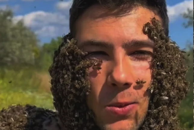 Meet the Greek Viral Beekeeper - Millions of Views on Social Media ...