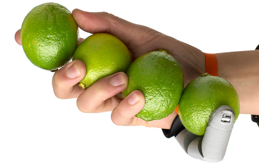 Learning to use a handy Third Thumb may be easier than you think ...