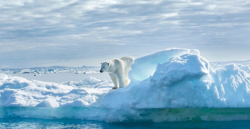 Freezing the Earth again – Experts' plan to save the Arctic (videos ...