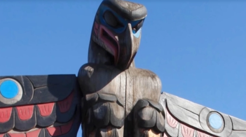 Rare skull of an extinct, massive "thunder bird" discovered in ...