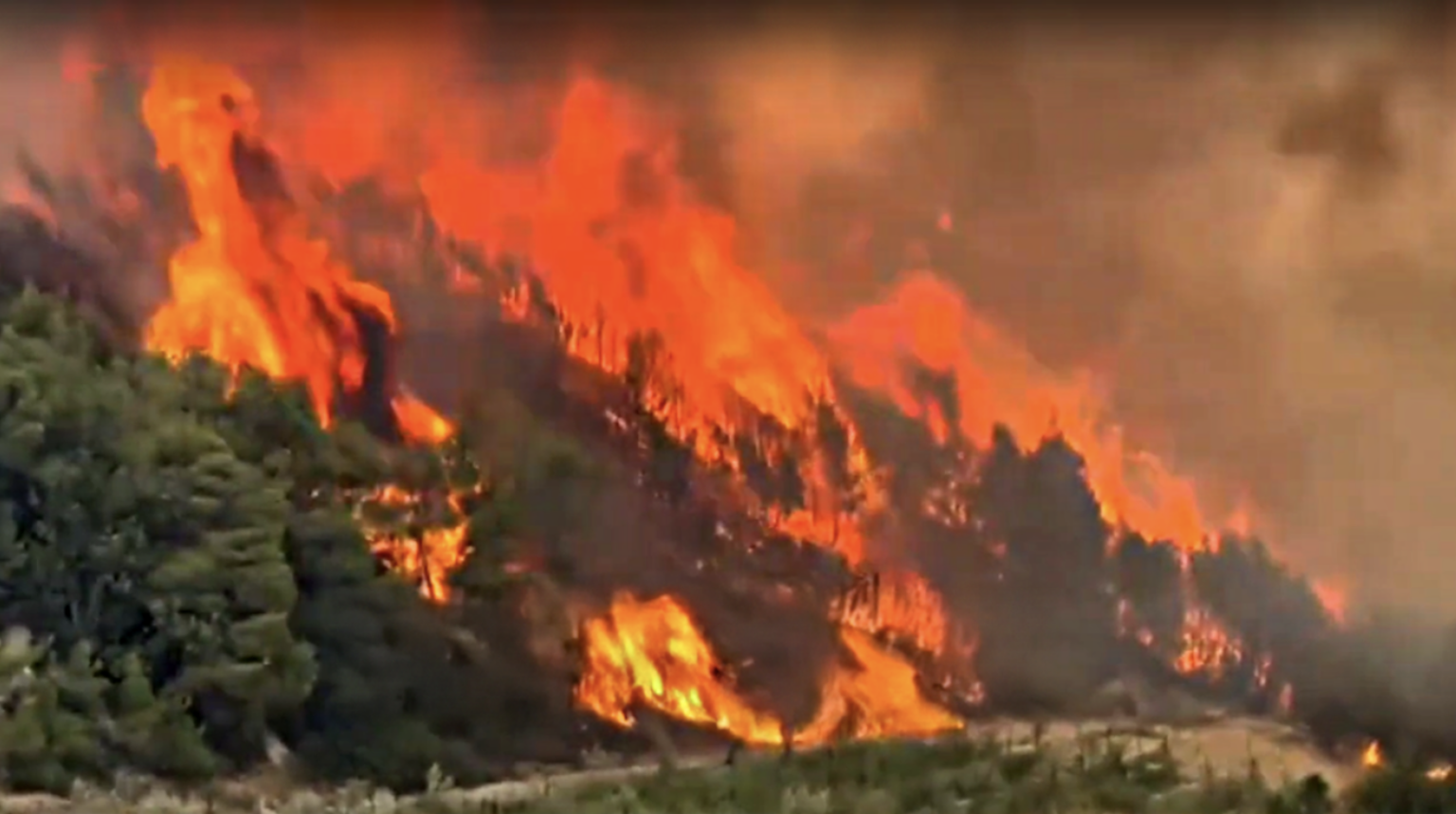 The fire is burning out of control in Corinthia - 140 firefighters, 11 ...