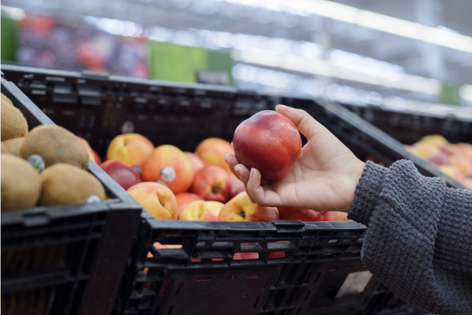 Over 26,500 hectares of deformed peaches, nectarines, apricots, and ...