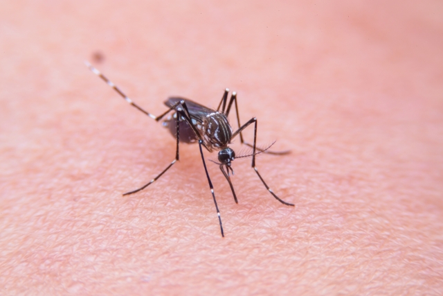 EODY: 12 cases and 3 deaths in the last week from West Nile virus ...