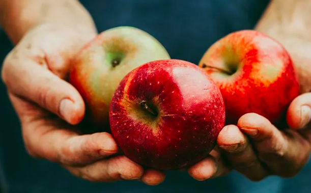 11 apple varieties you need to know about - ProtoThema English