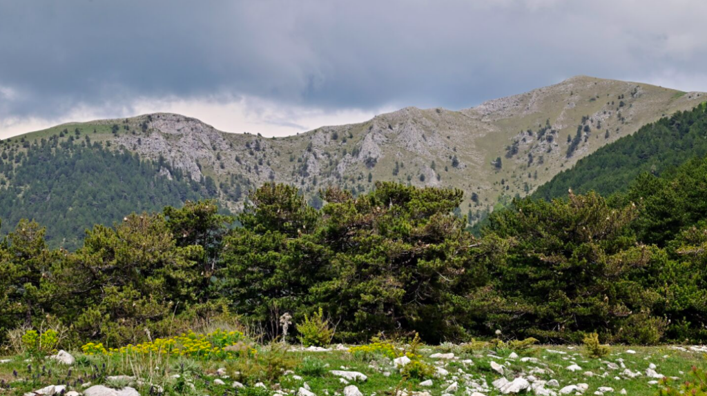 Greek hiking trails - ProtoThema English