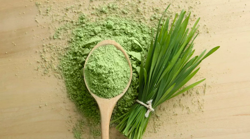 sustainable protein sources - ProtoThema English