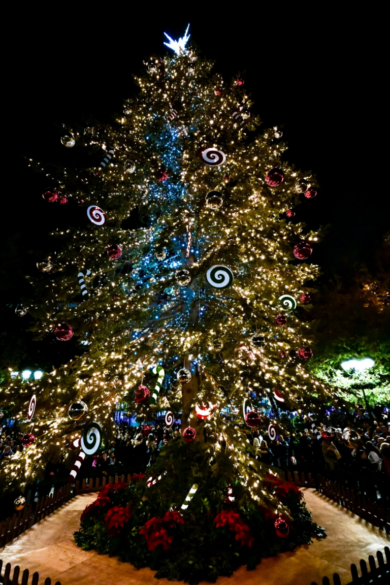 The Christmas tree was lit at Syntagma - See photos - ProtoThema English