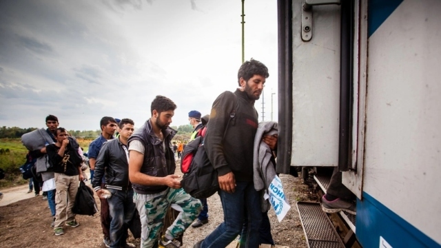 Egypt: The country has adopted for the first time a law to grant asylum ...