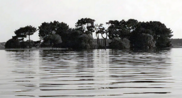 The Island of Cannibals: The hidden crime of Stalin's regime ...