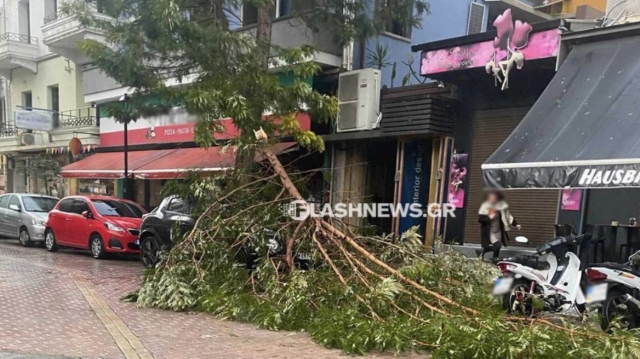 Heavy rainfall in Chania causes broken branches on the streets and ...