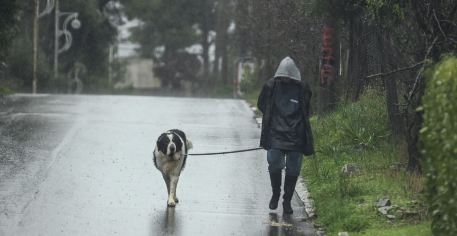 Weather in Athens - Kolydas: single digit maximum temperatures from ...