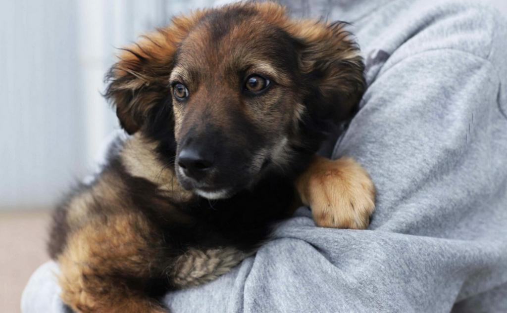 The Will and William West case: The identical inmates that showed the ...