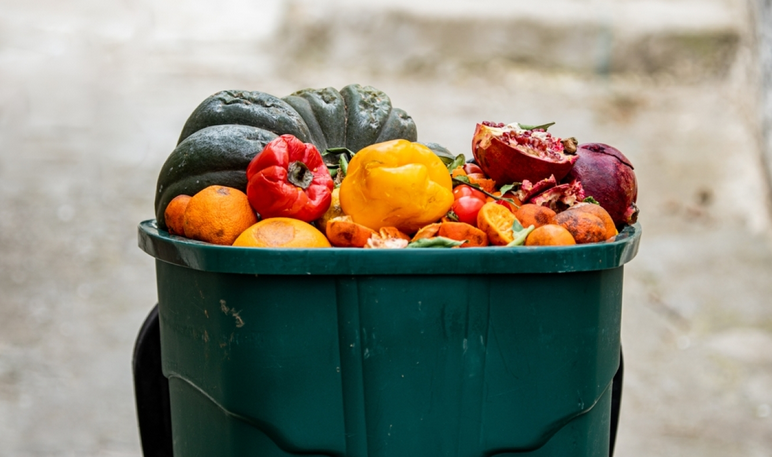 From the plate to the trash: Consumer habits and food waste in Greece ...