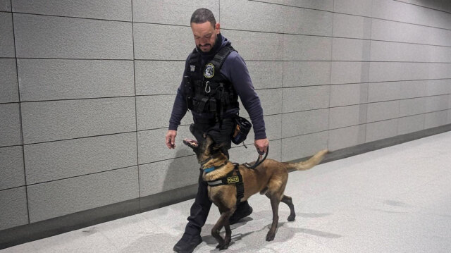 End of the era for the legendary patrol dog of the Greek National ...