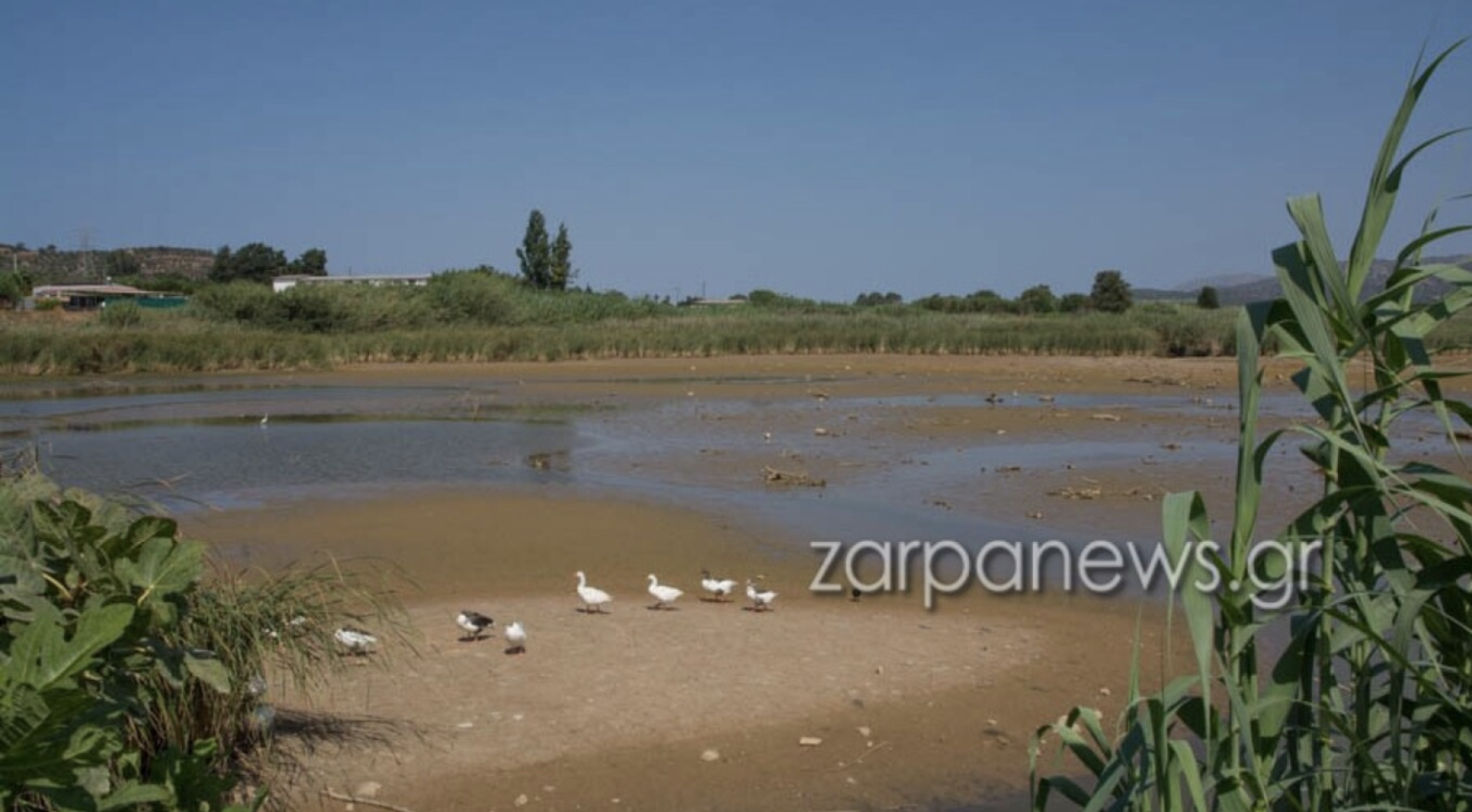 Lake Agia in Chania is drying up – Wetland under threat, see photos ...