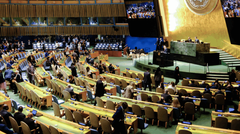 Chonkus Maximus the cat rescued after social media frenzy in Crete ...