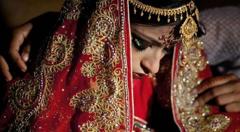 Chonkus Maximus the cat rescued after social media frenzy in Crete ...