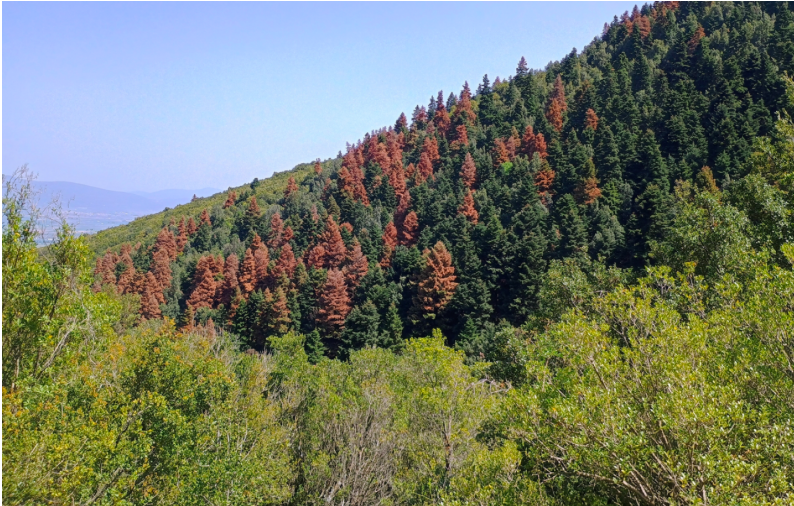 Who was the first actor in history? - ProtoThema English