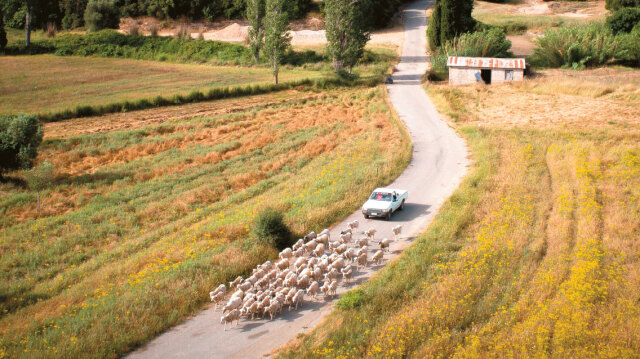 Who was Lord Elgin: He lived as a plunderer, died pursued by his ...