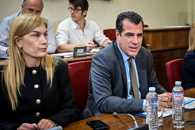 Plevris: No legalization process for undocumented migrants – The State ...