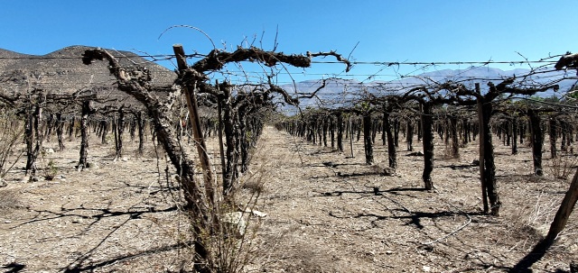 Greece Climate Report 2025: Soaring temperatures, declining snow ...