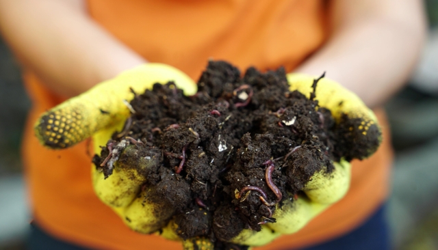 Circular economy in the field: How agricultural residues return to the ...